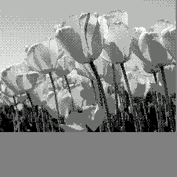 NESIFIER – nesdoug